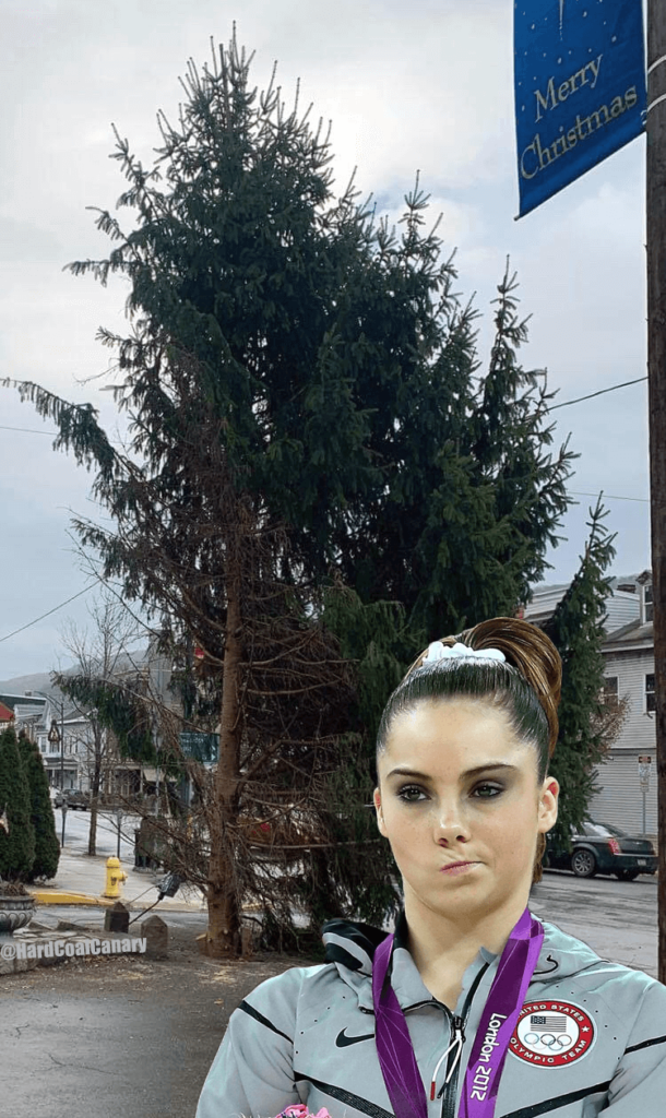 The Ashland Christmas Tree is Getting Some Feedback - Coal Region Canary