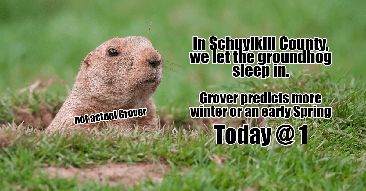 Schuylkill County's Grover Set for Groundhog Day - Coal Region Canary
