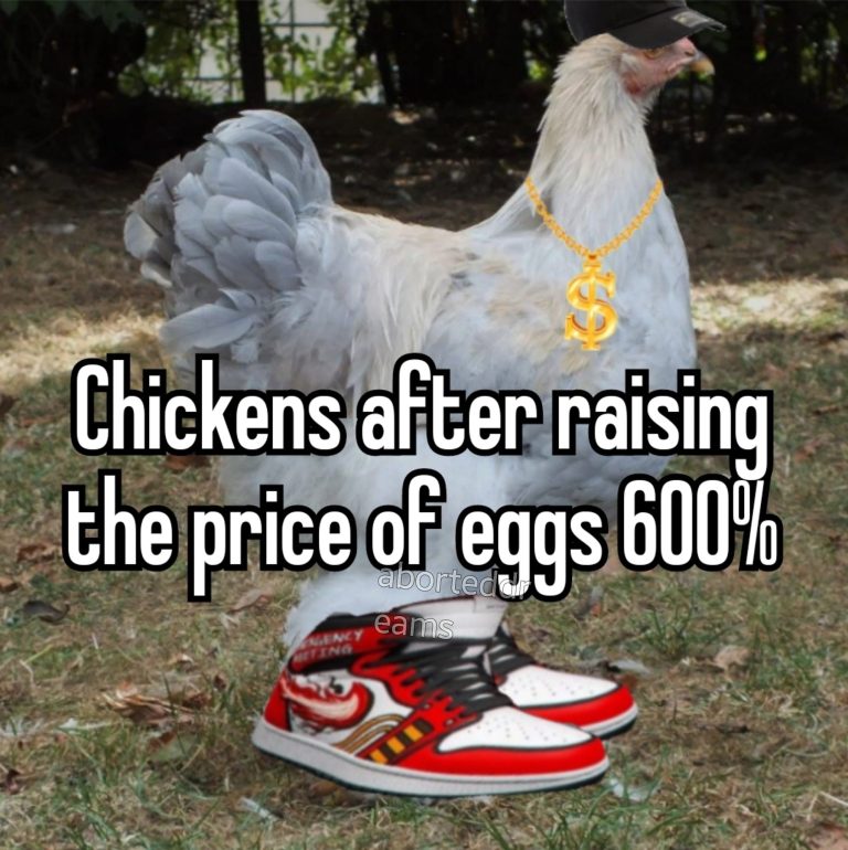 These Egg Prices Memes Will Crack You Up and Don't Cost a Penny! - Coal ...