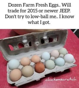 These Egg Prices Memes Will Crack You Up and Don't Cost a Penny! - Coal ...
