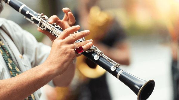10 Unique Polish Polka Music Instruments - Coal Region Canary