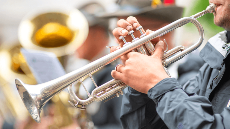 10 Unique Polish Polka Music Instruments - Coal Region Canary