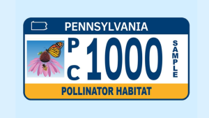 PennDOT Introduces "Pollinator" License Plates to Support Insect ...