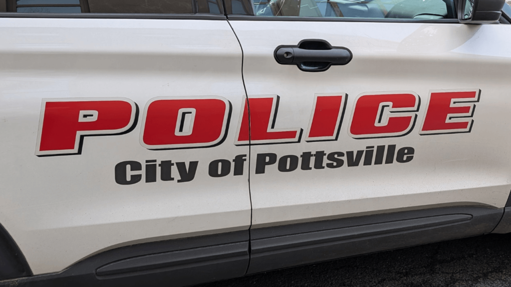 Schuylkill County Woman Allegedly Kneed, Bit Police Officer During Rock ...