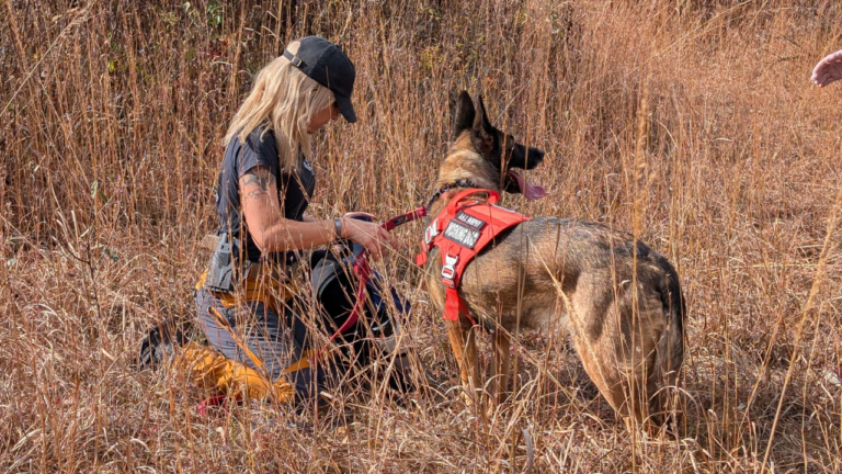 Cadaver Dog Brought In to Help Find Missing Pottsville Man; Family Says ...
