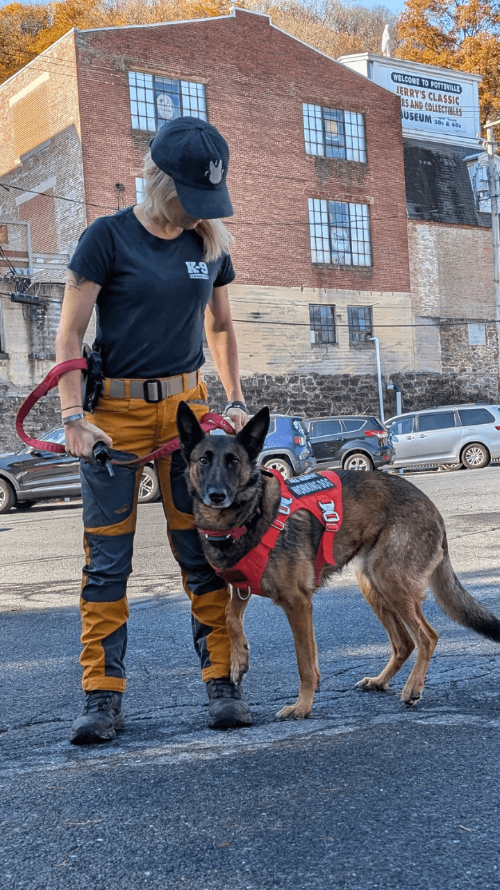 Cadaver Dog Brought In to Help Find Missing Pottsville Man; Family Says ...