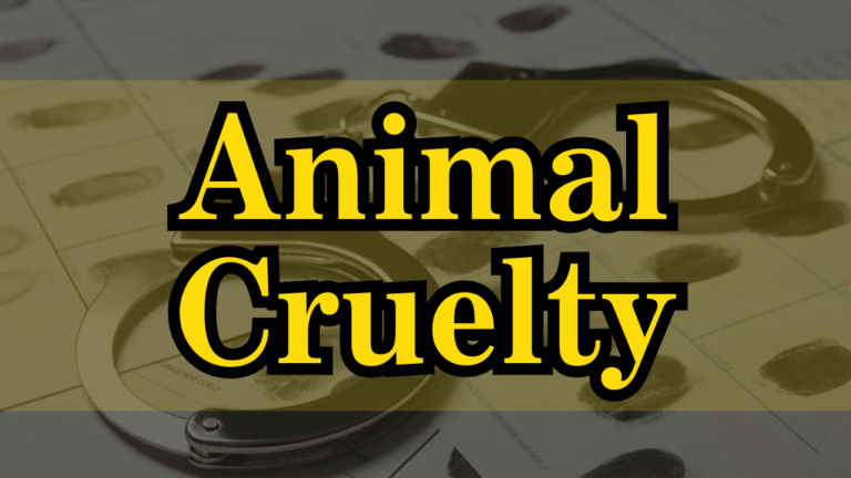 Schuylkill County Man Charged with Animal Cruelty After Dead Dog Found ...